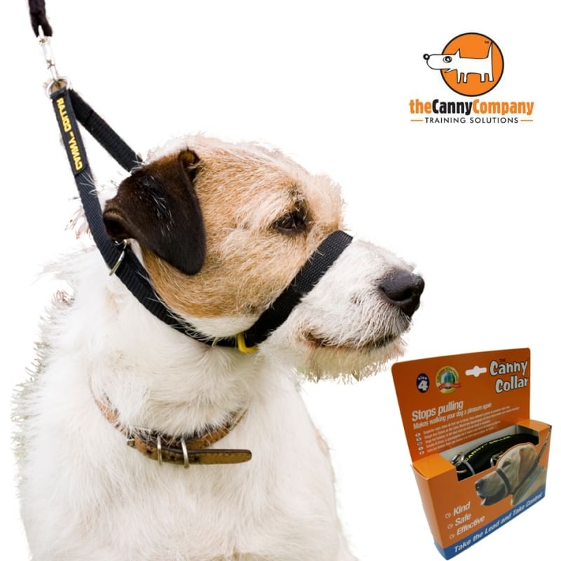 Canny Collar Collare 2 Nero 28: Utilizzo, effetti collaterali, prodotti ...