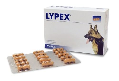 Lypex 60 capsule: Acquista con spedizione gratuita in 24-48 ore ...